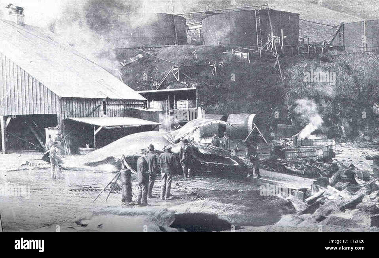 The Shore Whaling Station in Akutan, Alaska, is a historical site from ...