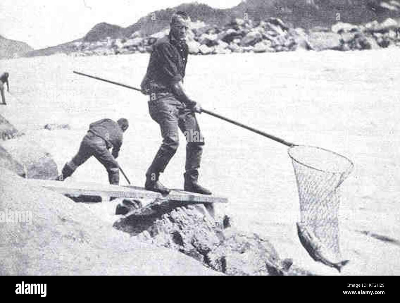Dip-netting salmon in Abercrombie Canyon, Copper River, is a ...