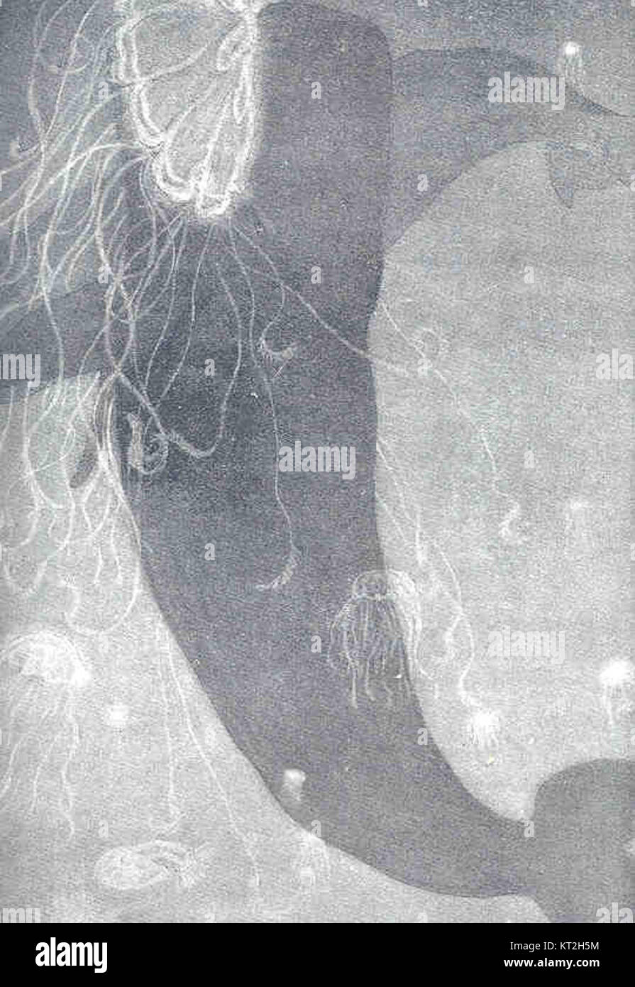 34945 Sperm Whale--Rose perpendicularly with some palely glowing mass ...