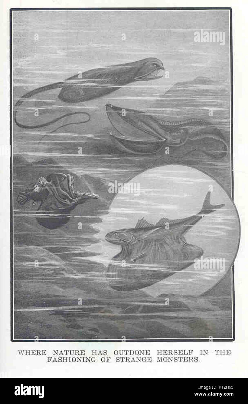 Chimeric beasts hi-res stock photography and images - Alamy