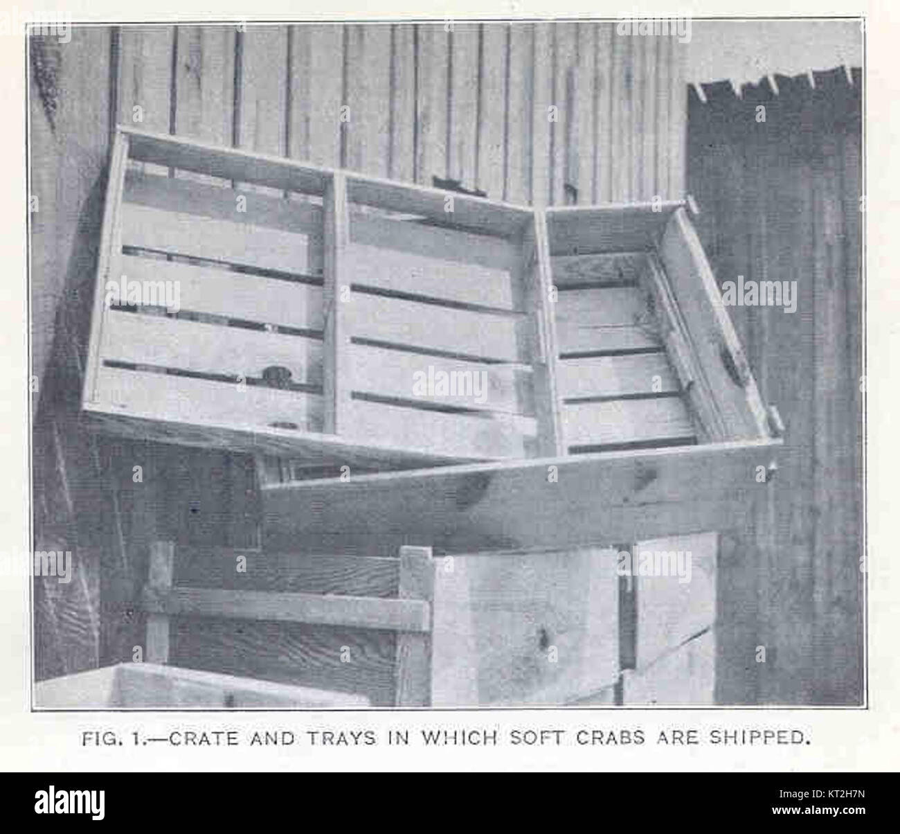 This image depicts crates and trays used for shipping soft crabs. These ...