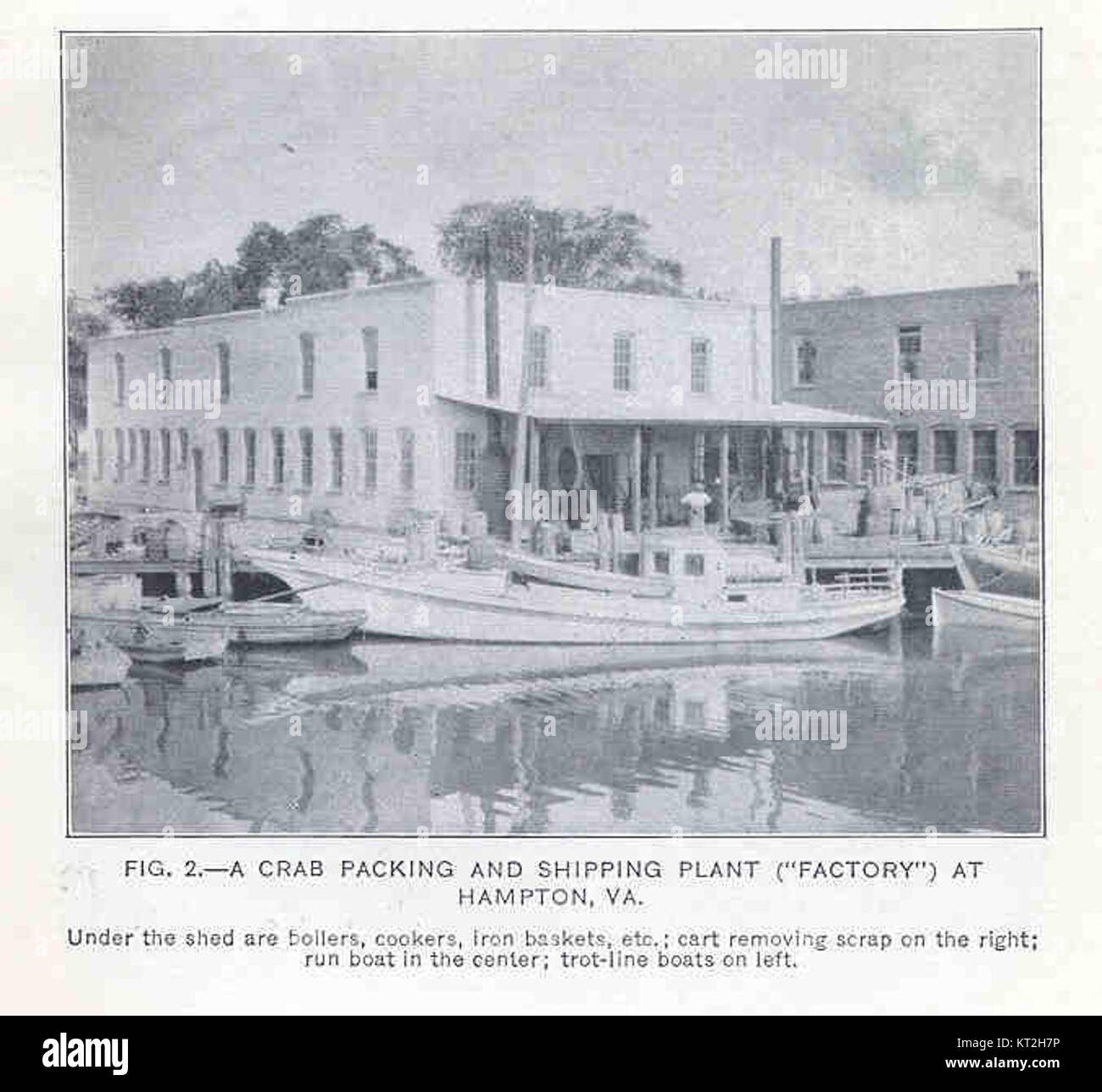 This image depicts the crab packing and shipping plant at Hampton ...