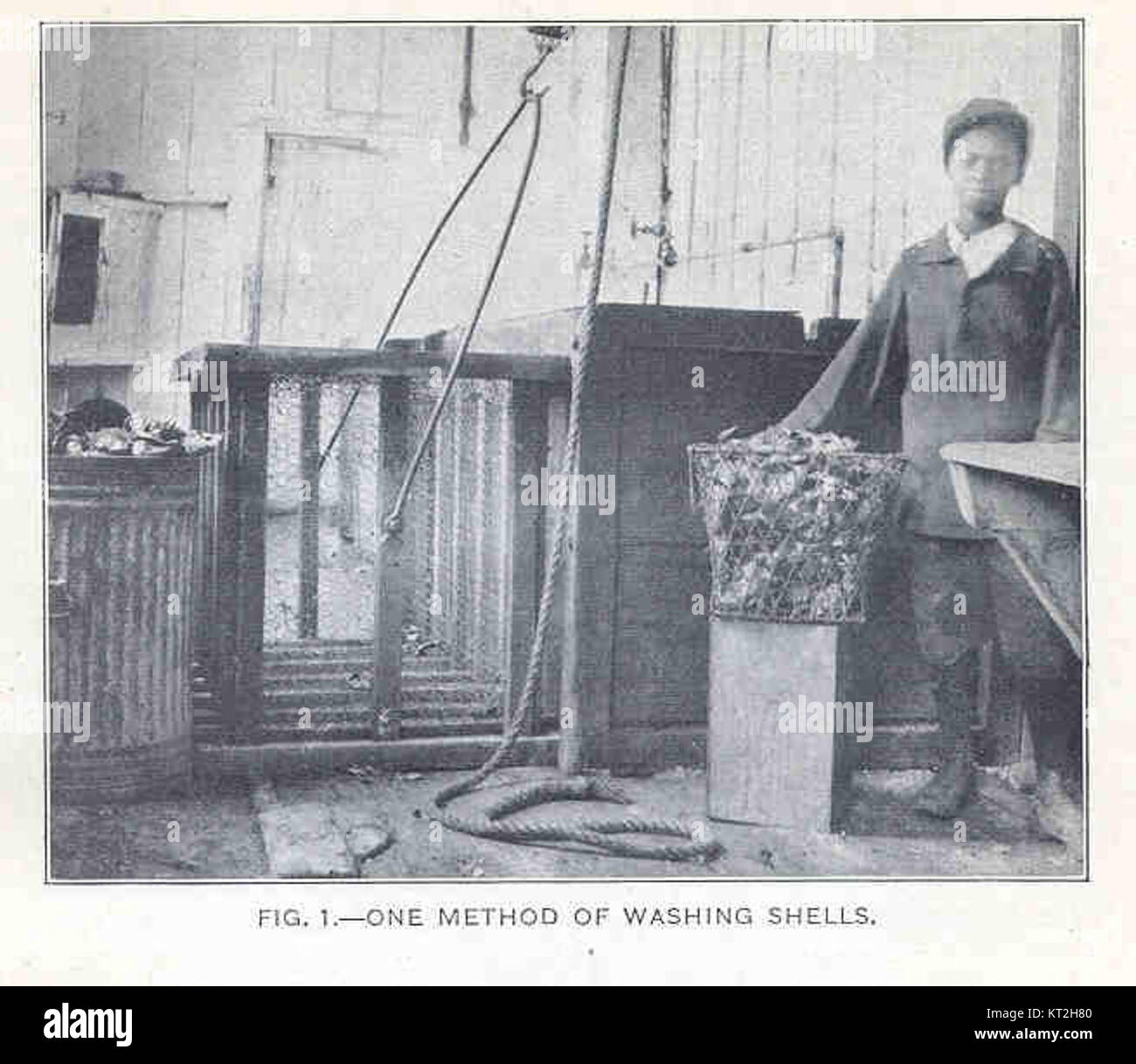 This image demonstrates a method of washing shells, a process likely ...