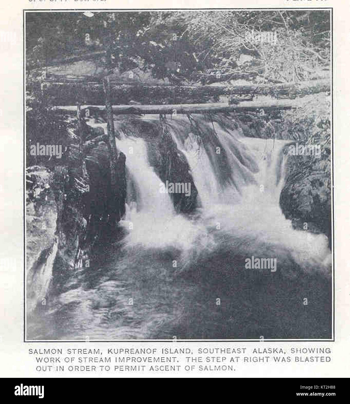 This image captures the stream improvement work on a salmon stream ...