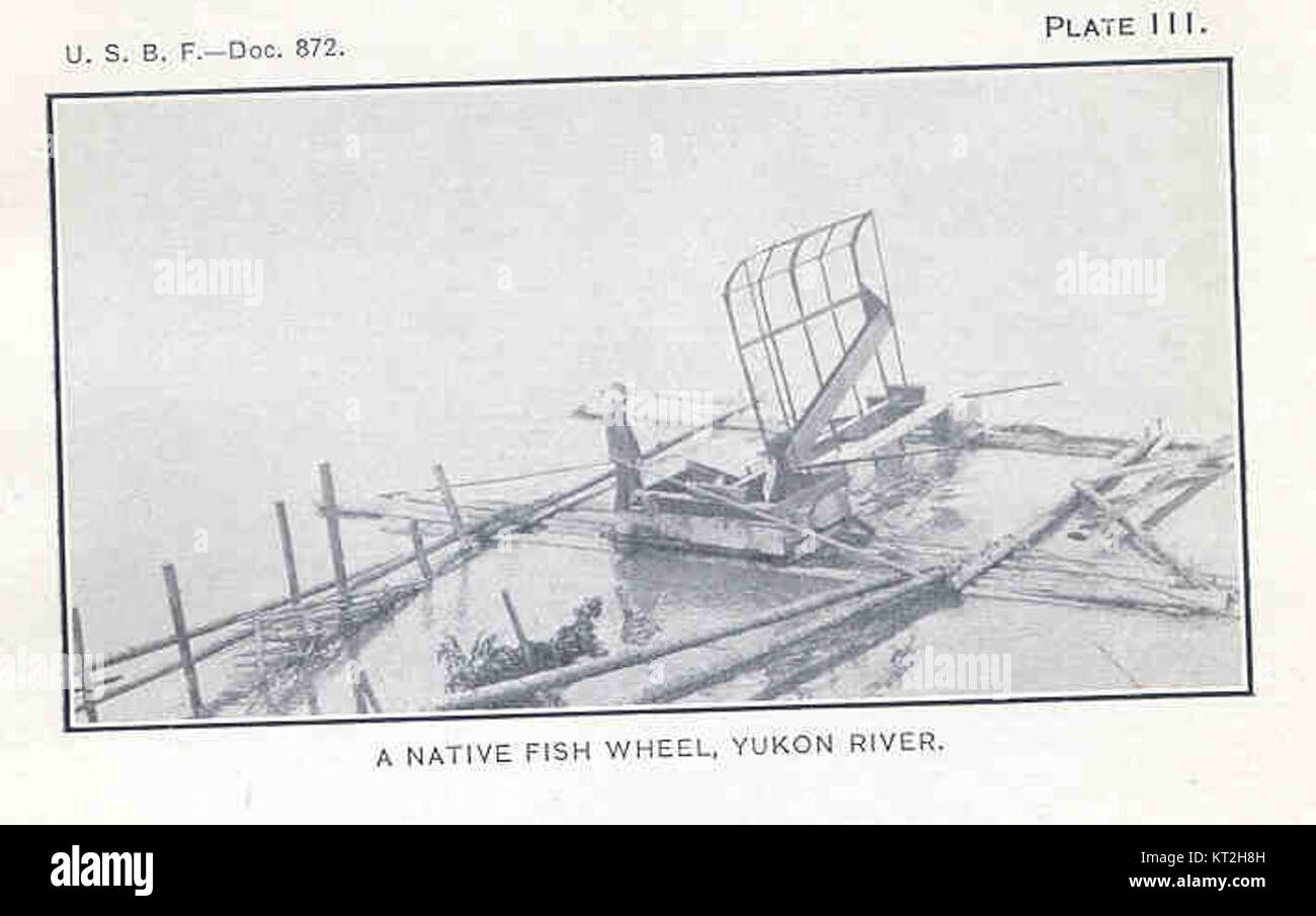 The Native Fish Wheel on the Yukon River is an indigenous fishing tool ...