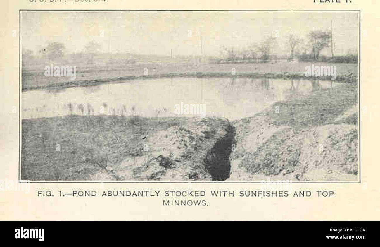 Pond 35014 is a freshwater body teeming with sunfishes and top minnows ...