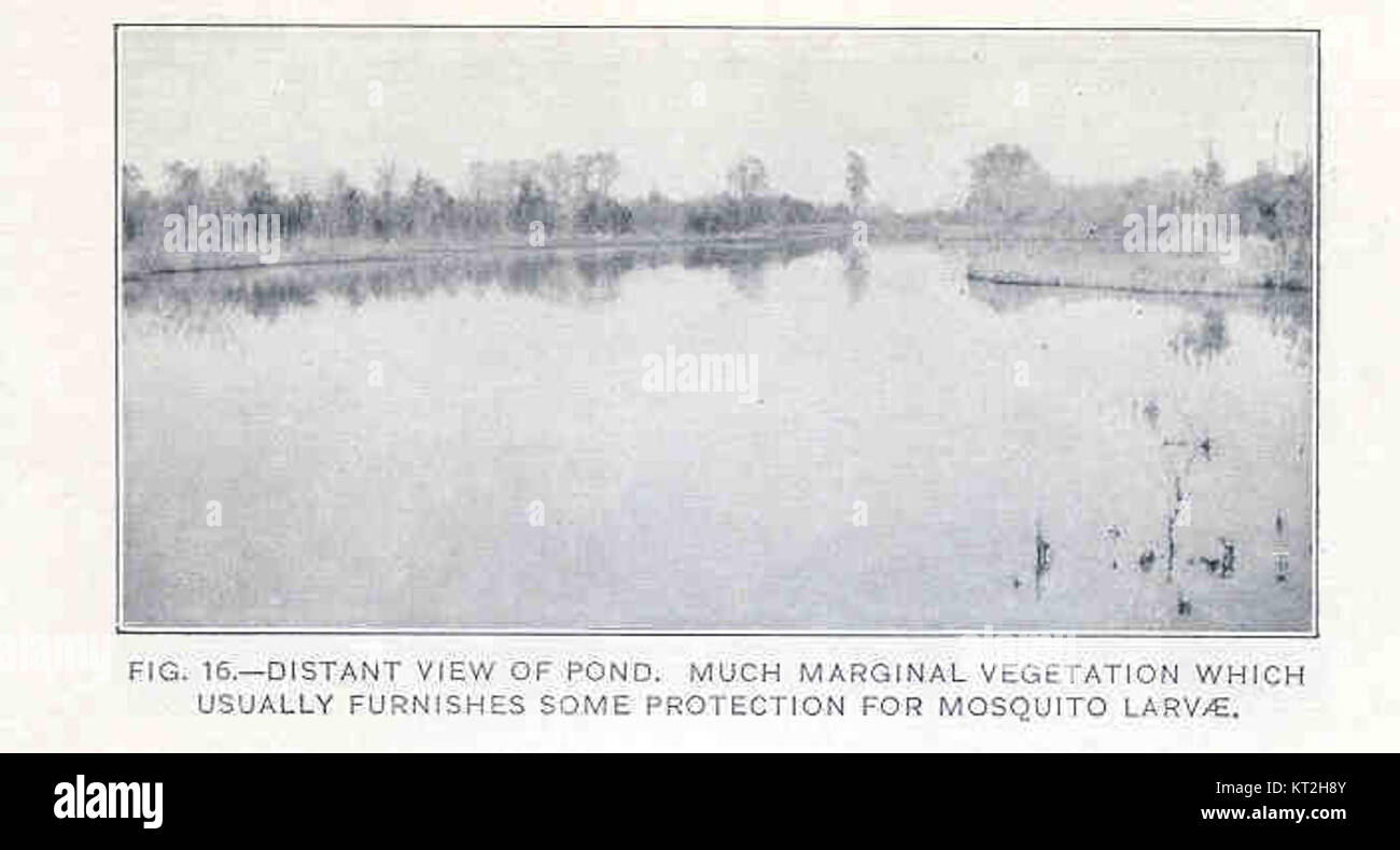 This view shows a distant pond with significant marginal vegetation ...