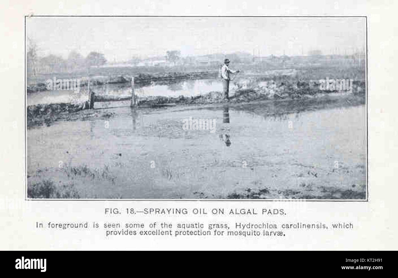 This image shows the process of spraying oil on algal pads, a method ...