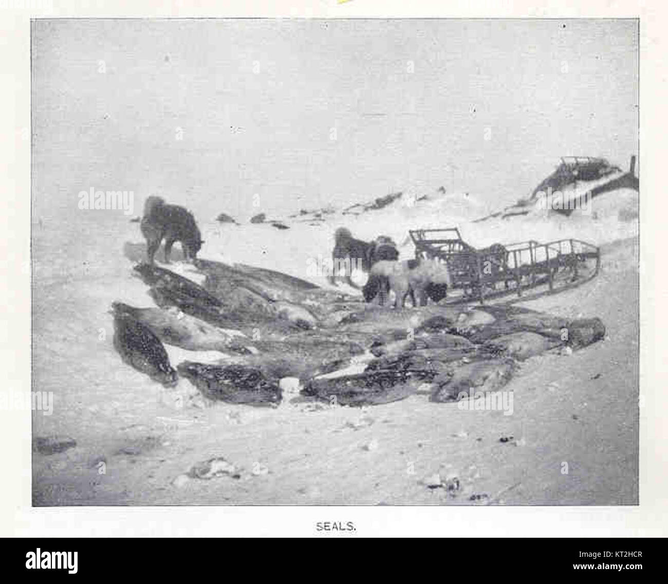 35122 hi-res stock photography and images - Alamy