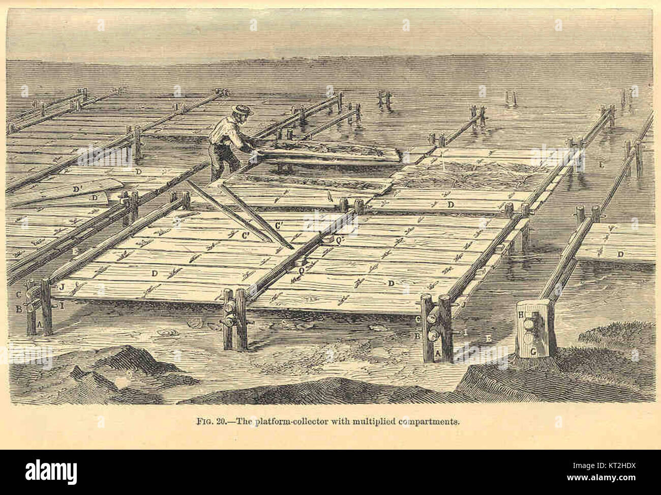 Multiple compartments hi-res stock photography and images - Alamy