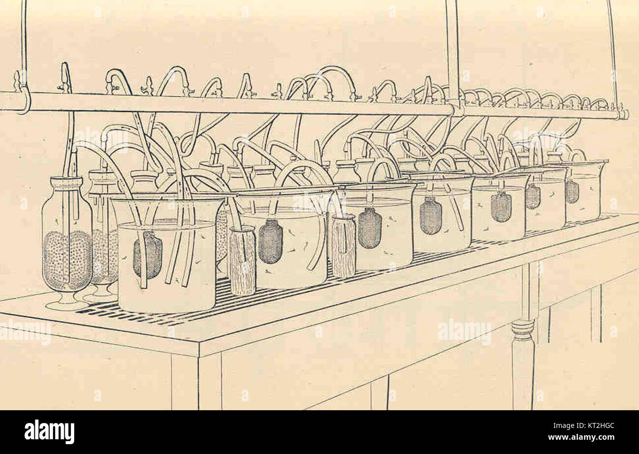 This setup includes hatching jars and aquaria designed for collecting ...