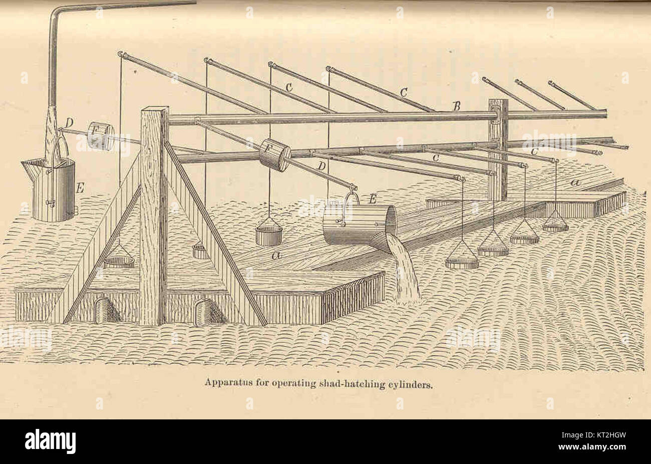 The 35212 Apparatus is a device used for operating shad-hatching ...