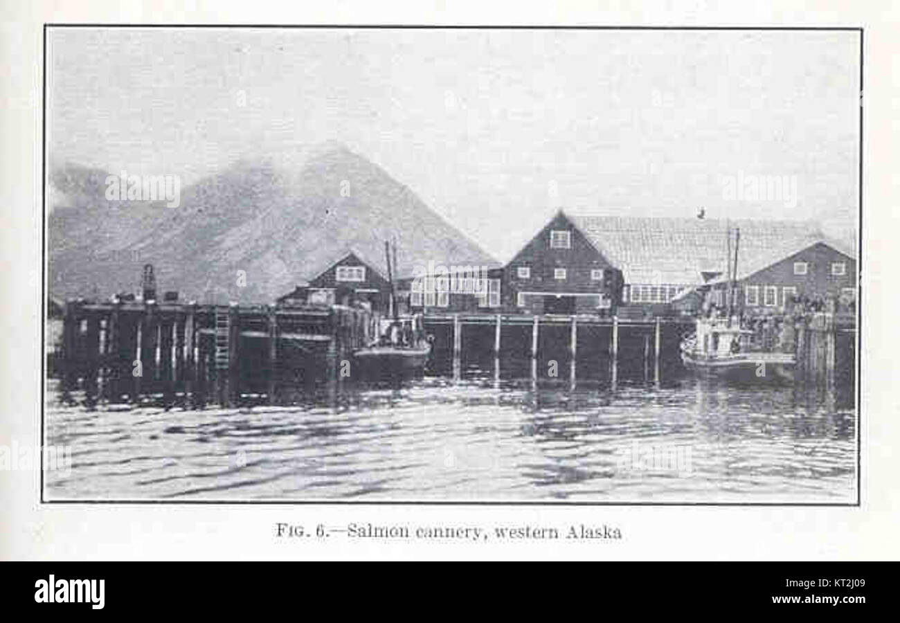 The 35456 Salmon Cannery in Western Alaska was a major operation in the ...
