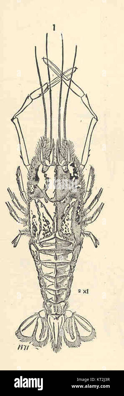 Pentacheles hi-res stock photography and images - Alamy