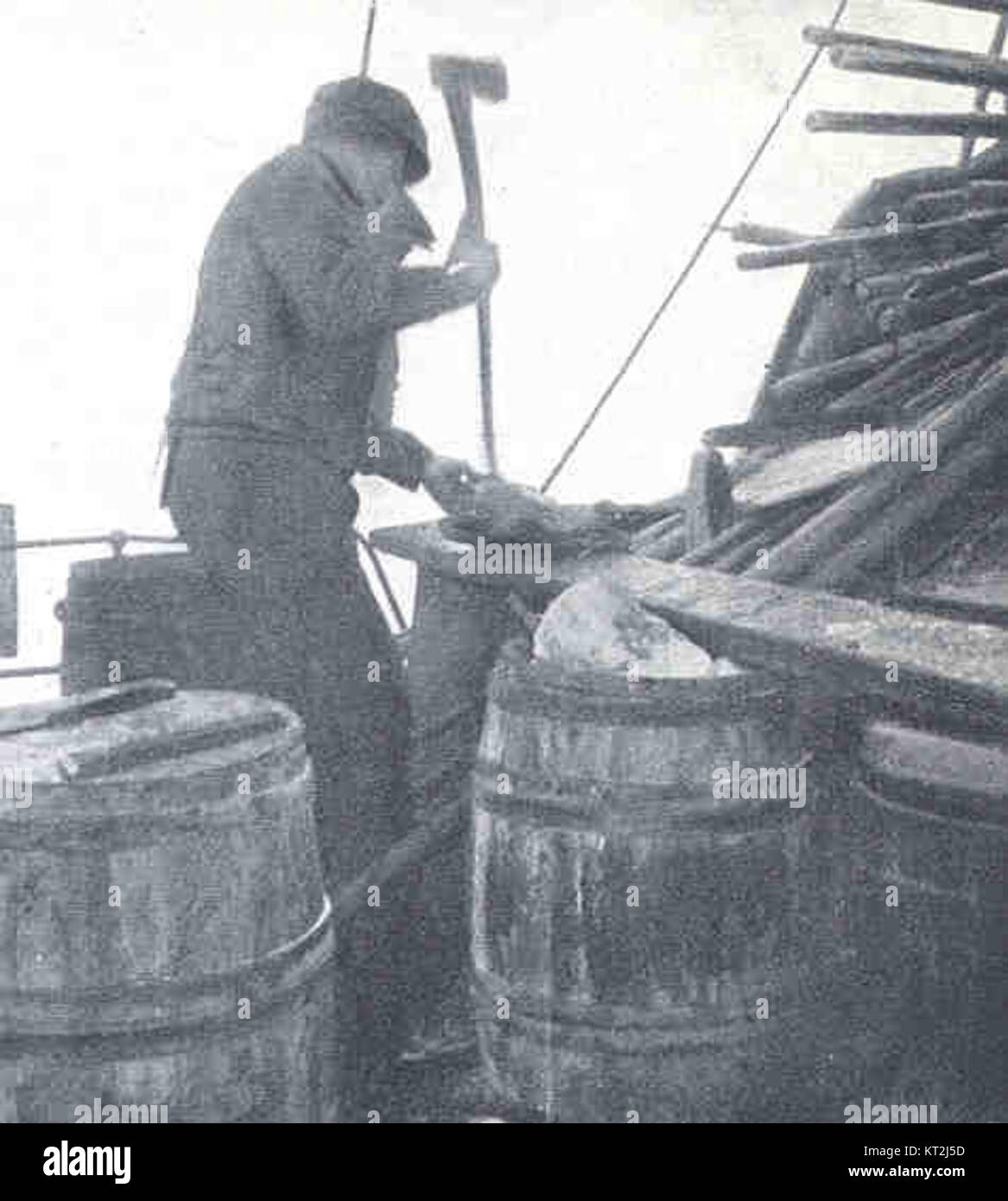 This image illustrates the processing of seal carcasses, with the ...