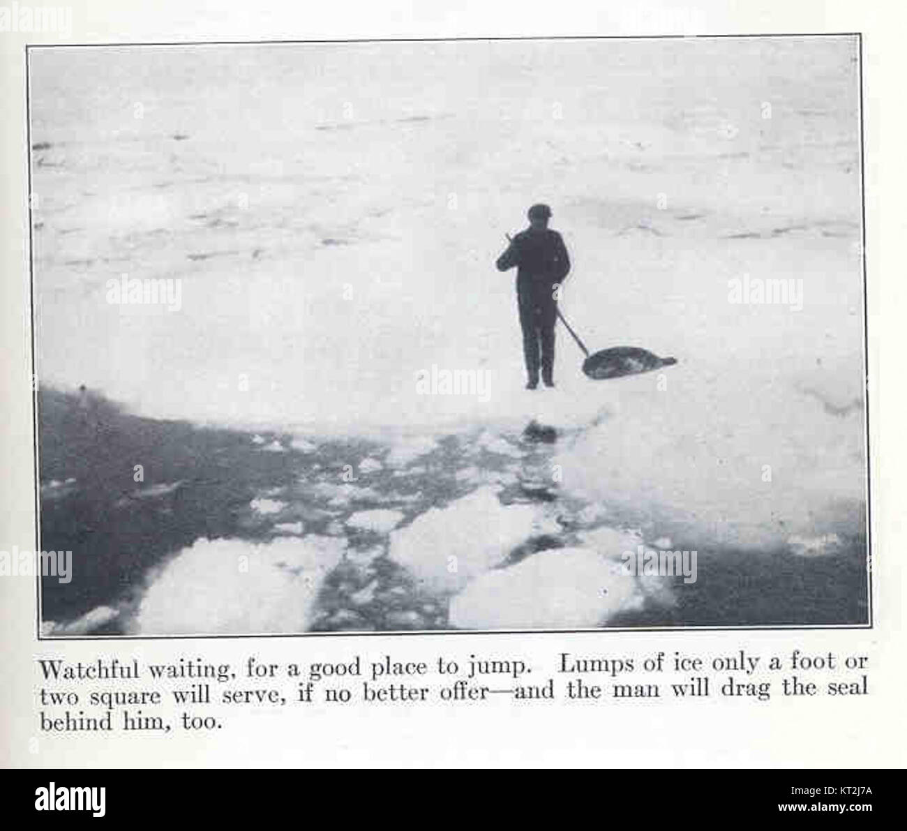 This photograph captures a dramatic moment of a wildlife or natural ...