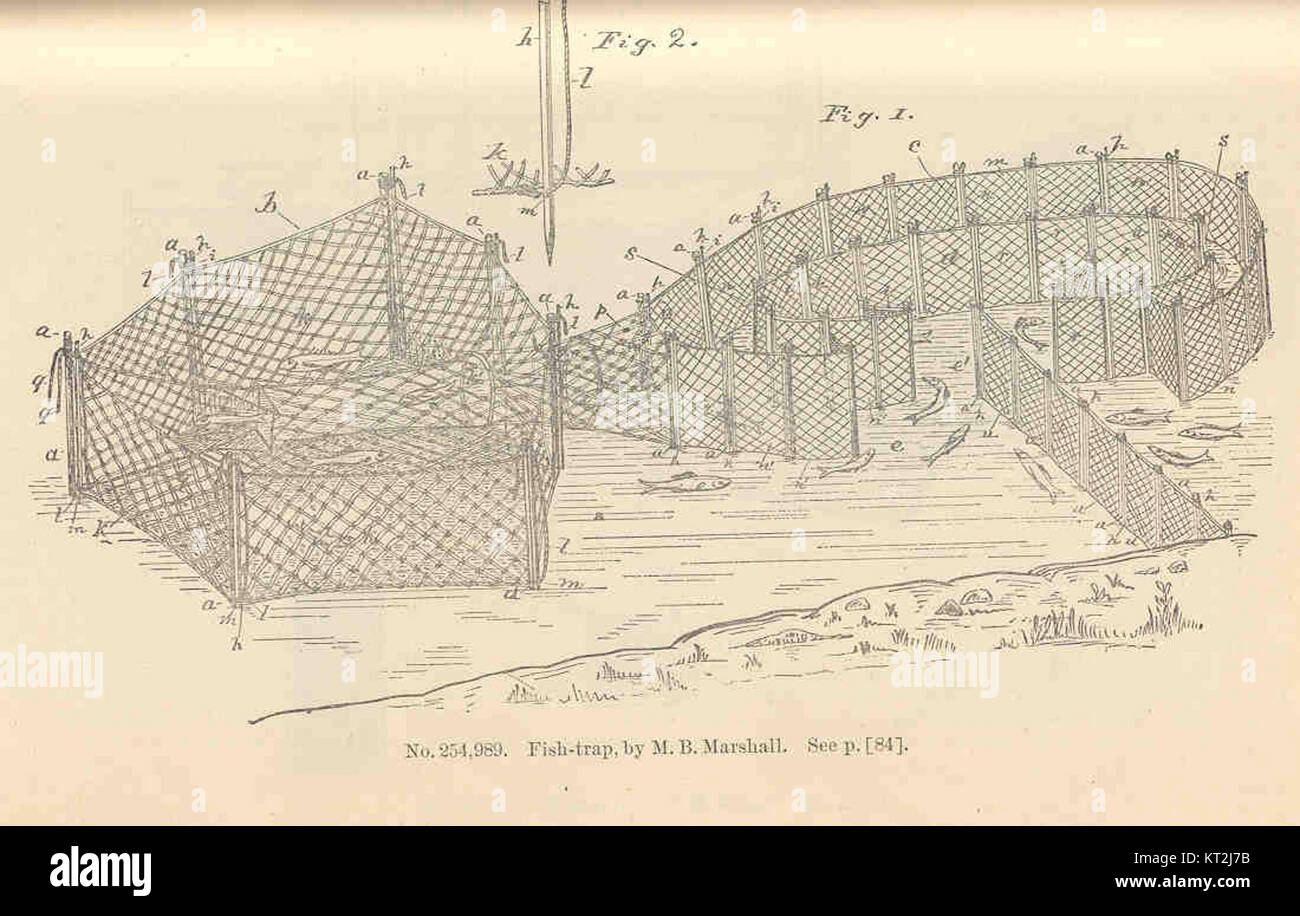 This item, a fish-trap designed by M B Marshall, is part of a ...