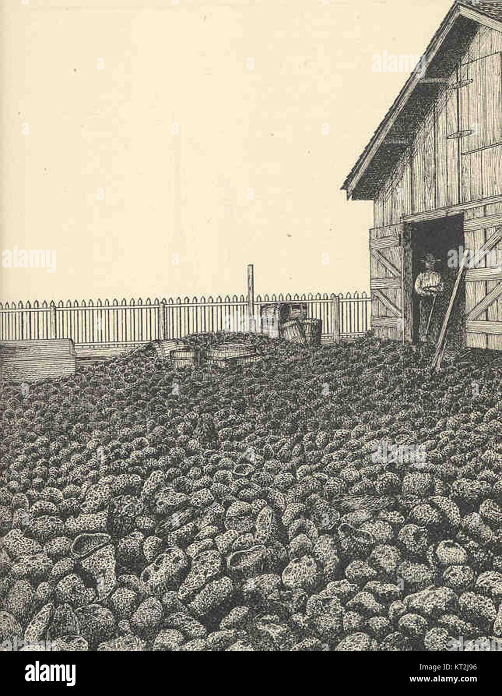 The Sponge Yard at Key West is a historical location, significant for ...