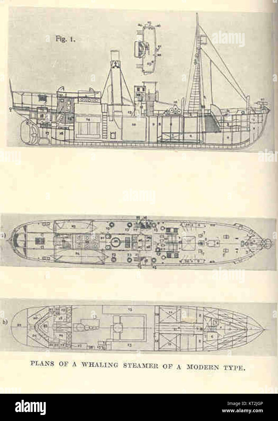 A detailed drawing of the plans for a modern whaling steamer, numbered ...