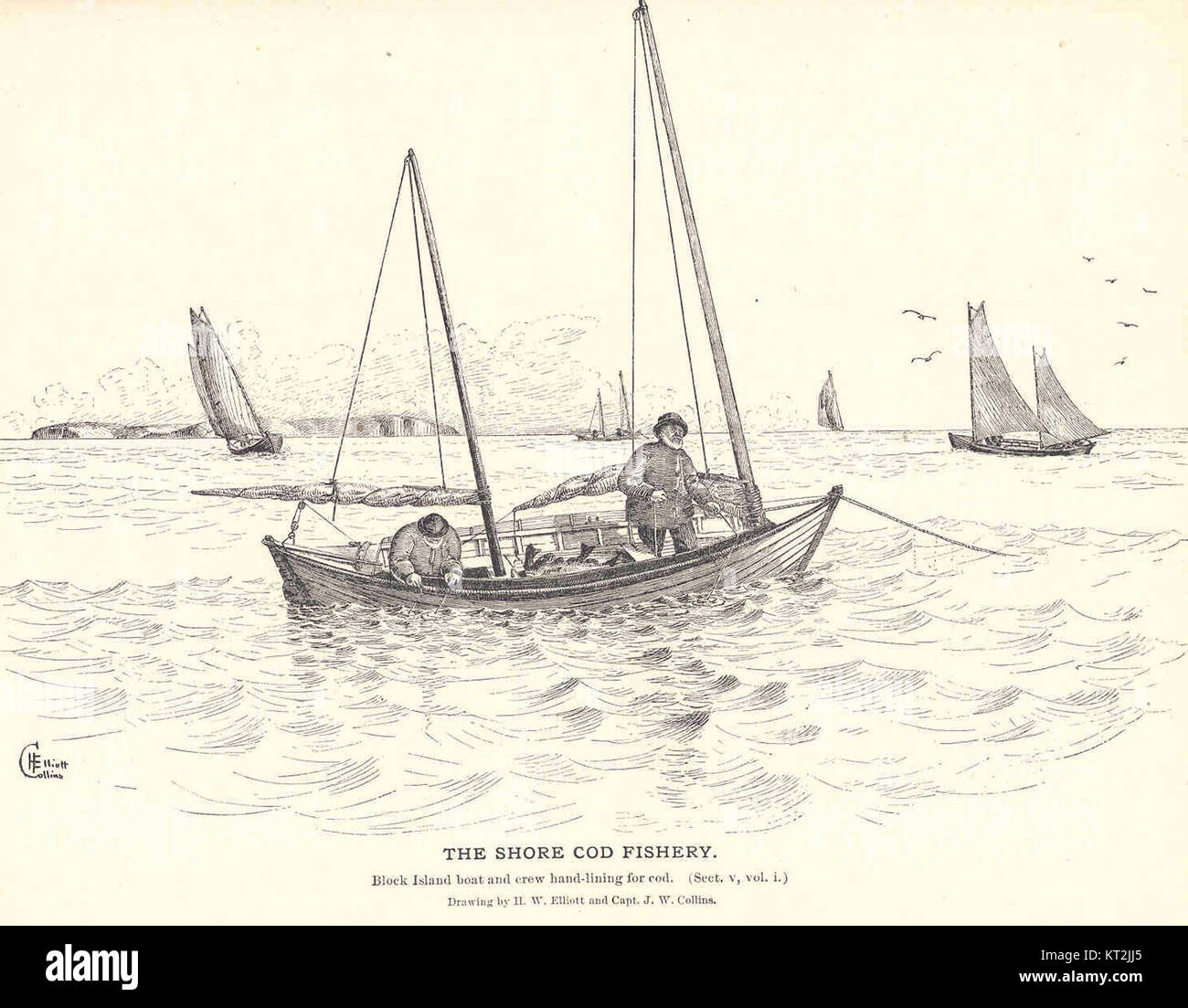 Shore Cod Fishery refers to a commercial fishing operation focusing on ...