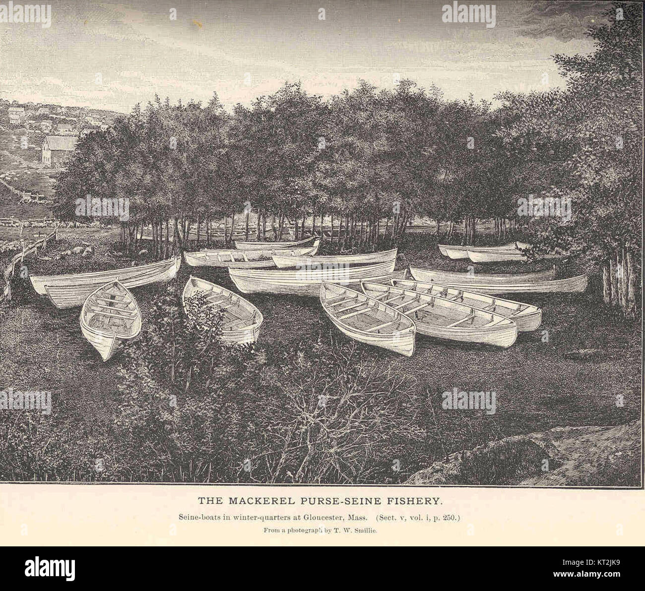 A Mackerel purse-seine fishery operation, a method used for catching ...