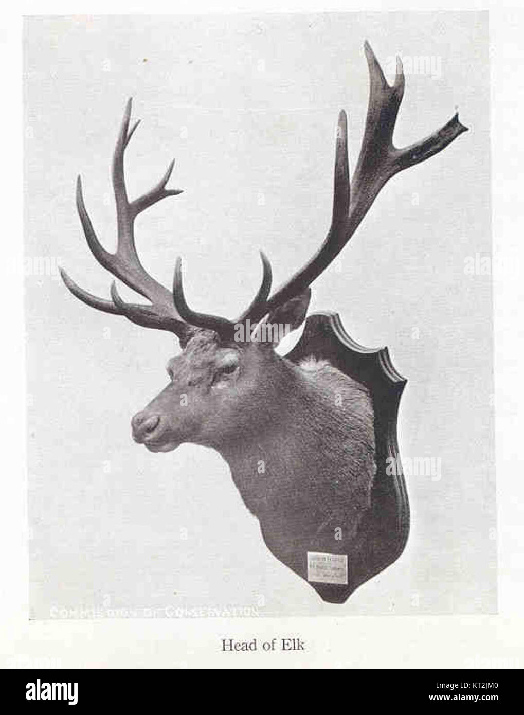 Head of Elk was a significant settlement in colonial America. The image ...