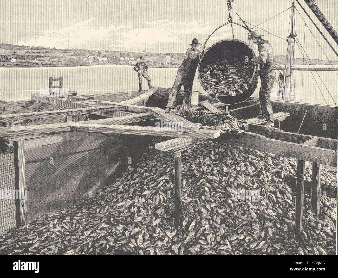 35849 Menhaden Fishery Stock Photo - Alamy