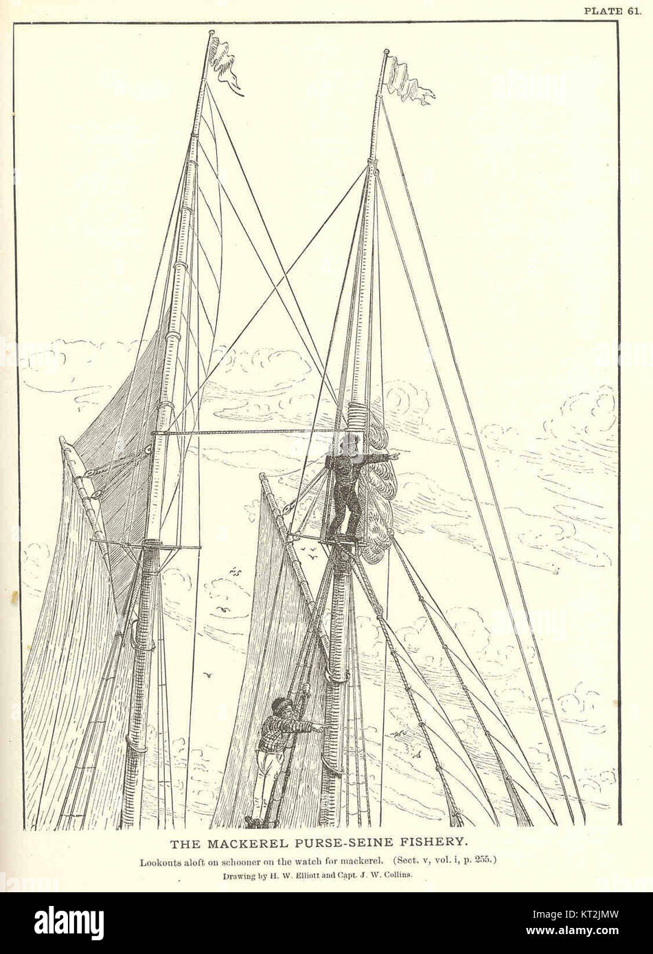 The Mackerel Purse-Seine Fishery is a commercial fishing method used to ...