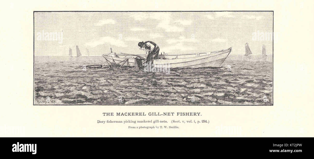 The Mackerel Gill-Net Fishery is a traditional method of fishing, often ...