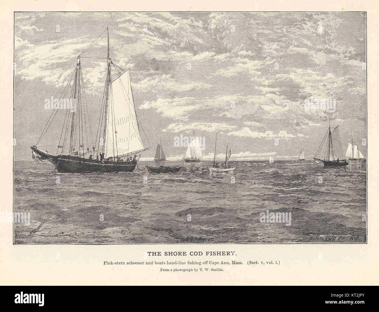 This photograph captures a shore cod fishery, an important part of the ...