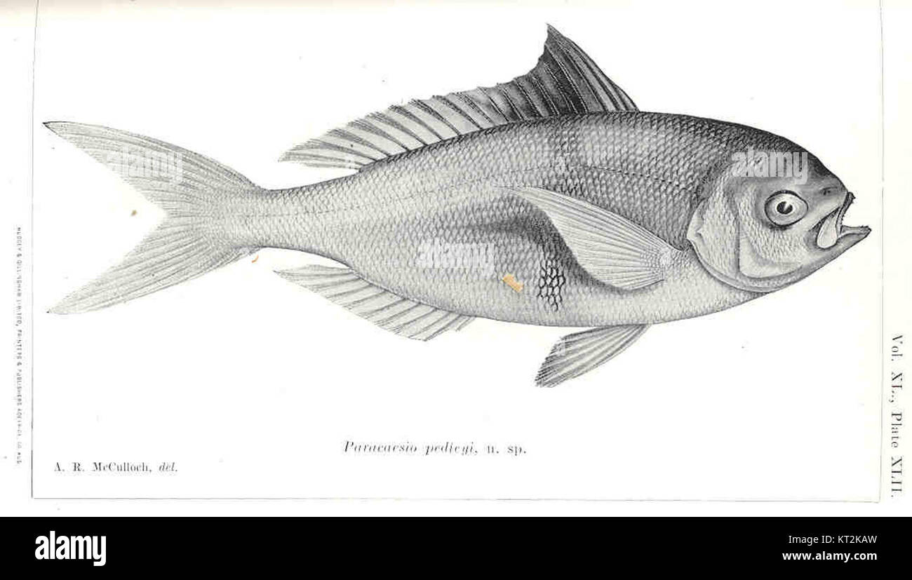 36154 photo hi-res stock photography and images - Alamy