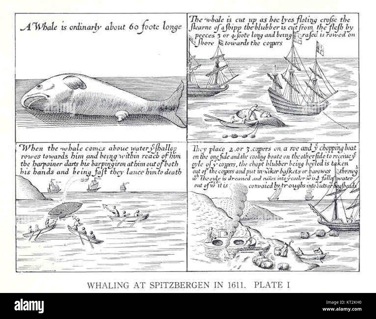 This historical illustration depicts whaling activities at Spitzbergen ...