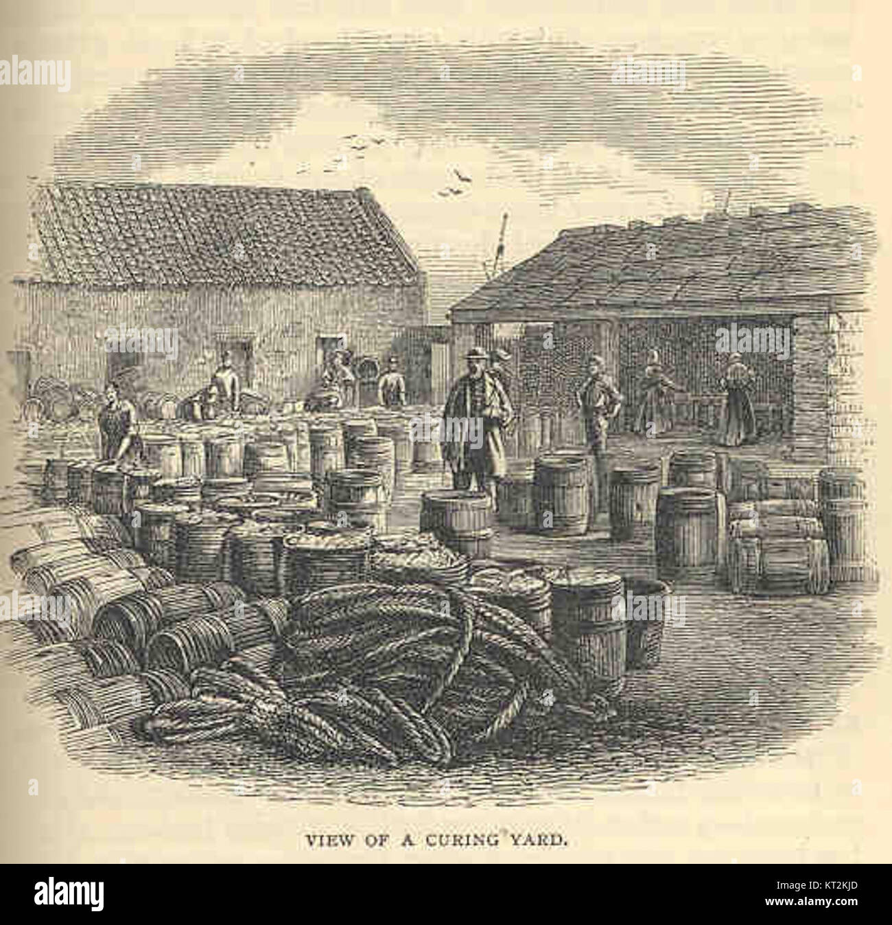 This image captures a view of a curing yard, a facility used for ...