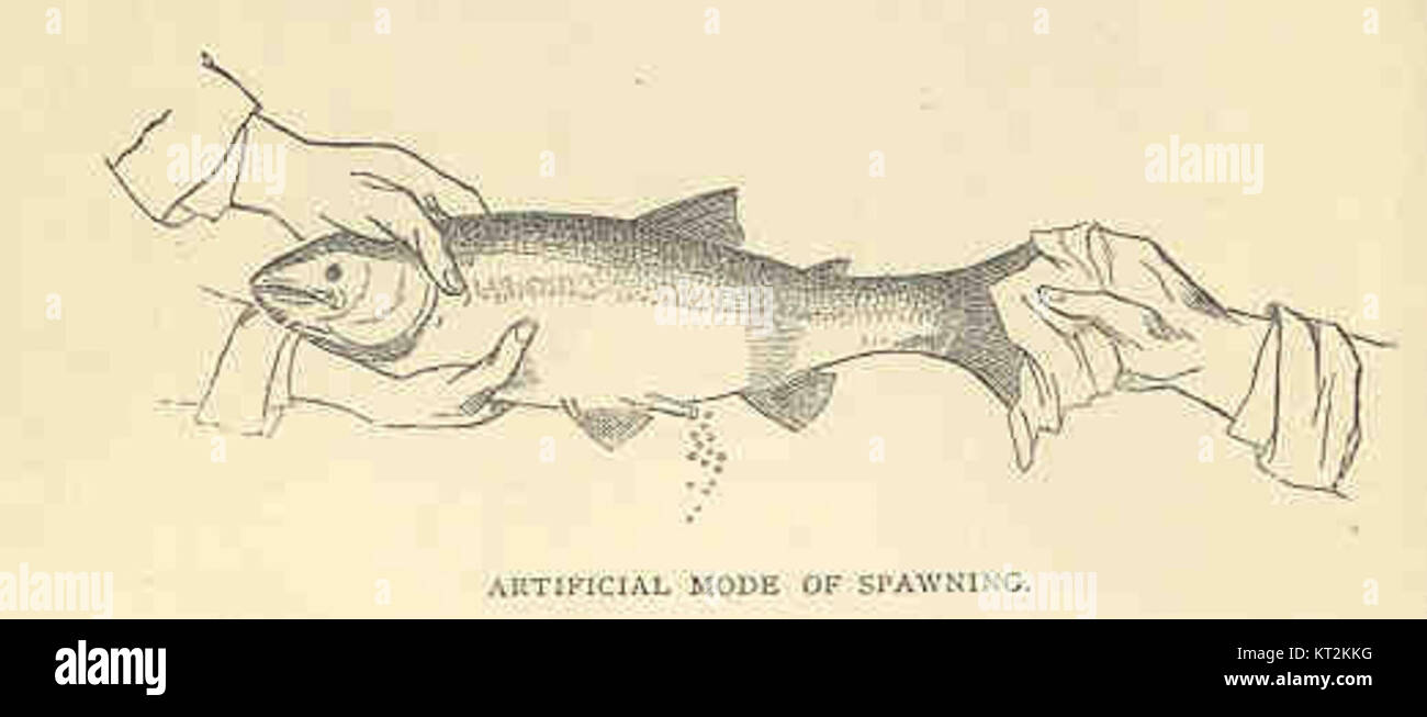 Artificial mode of spawning refers to a controlled method used to ...