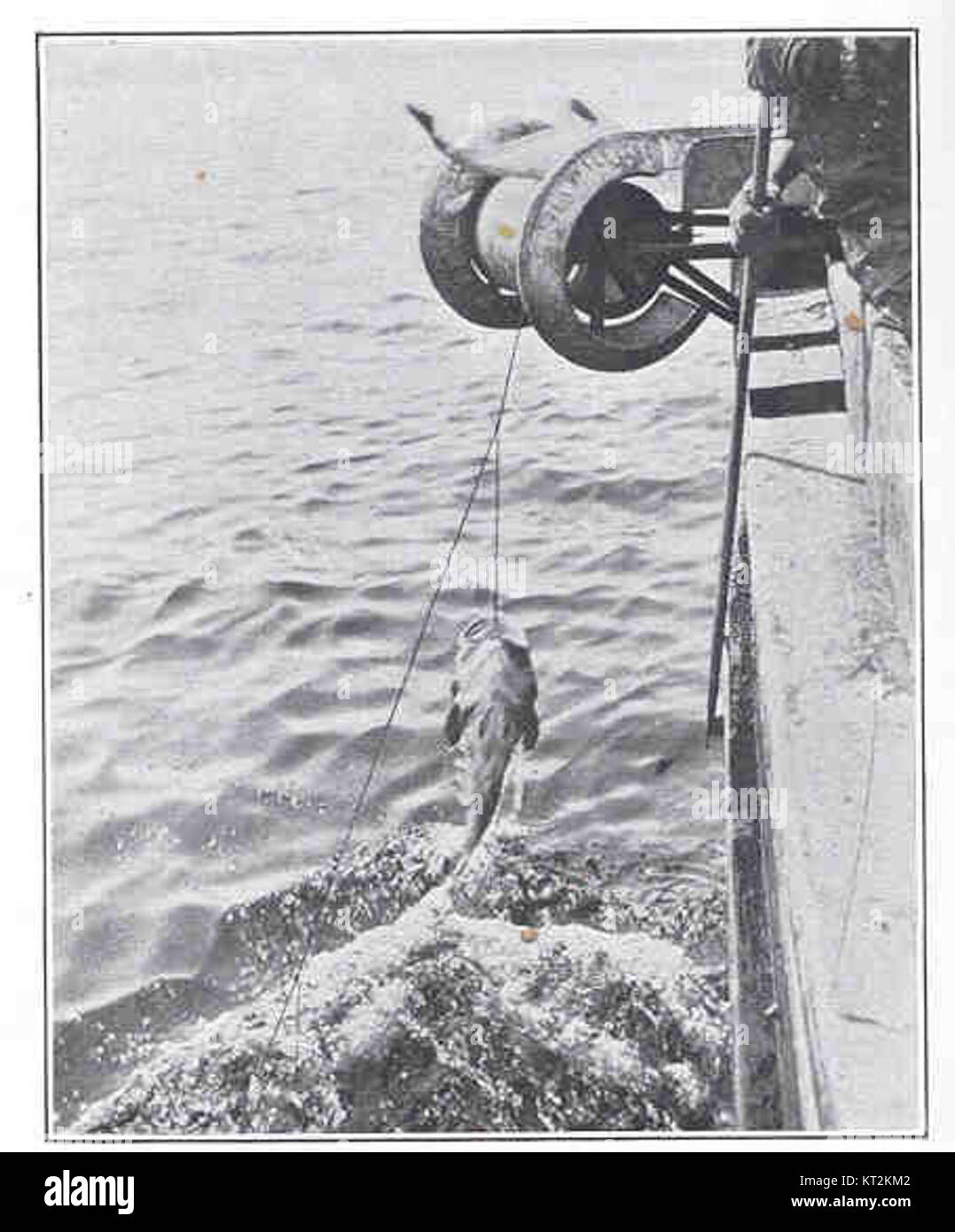 Fish net trawler catch hi-res stock photography and images - Alamy