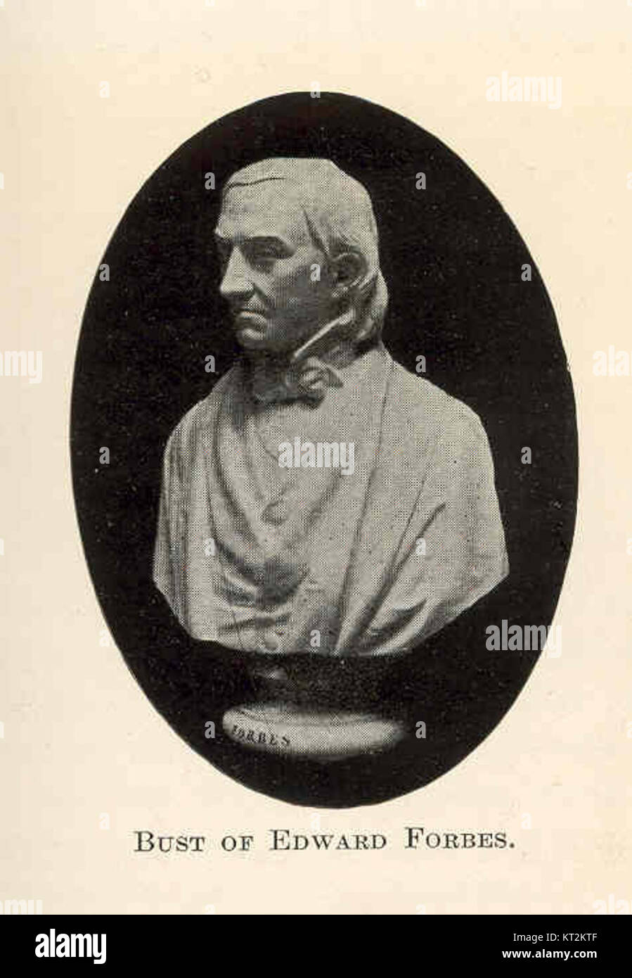 36370 hi-res stock photography and images - Alamy