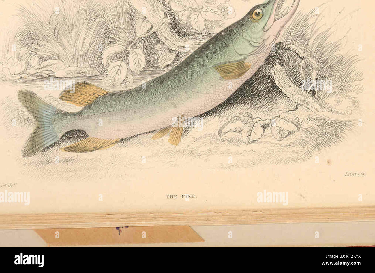 This title likely refers to a location, vehicle, or object identified by the number 36418 Pike ...