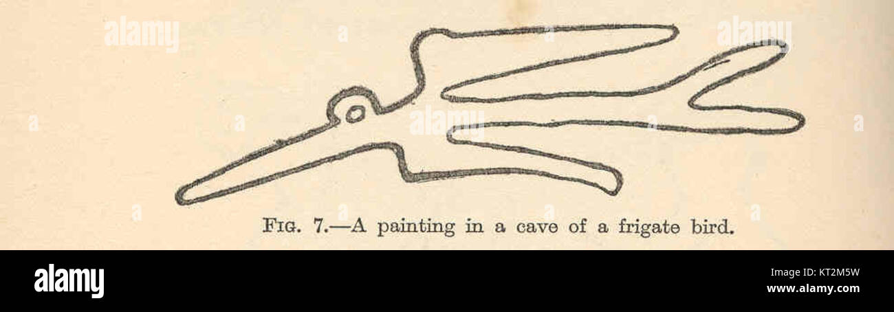 Bird cave painting hi-res stock photography and images - Alamy