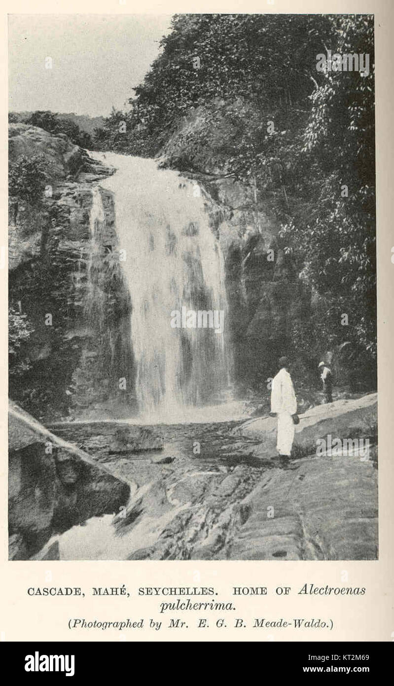 36504 Cascade in Mahe, Seychelles, is a location known for being the ...