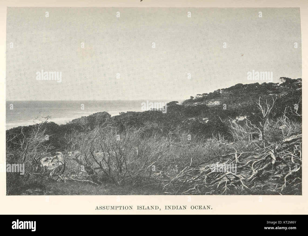 This image depicts Assumption Island, located in the Indian Ocean ...