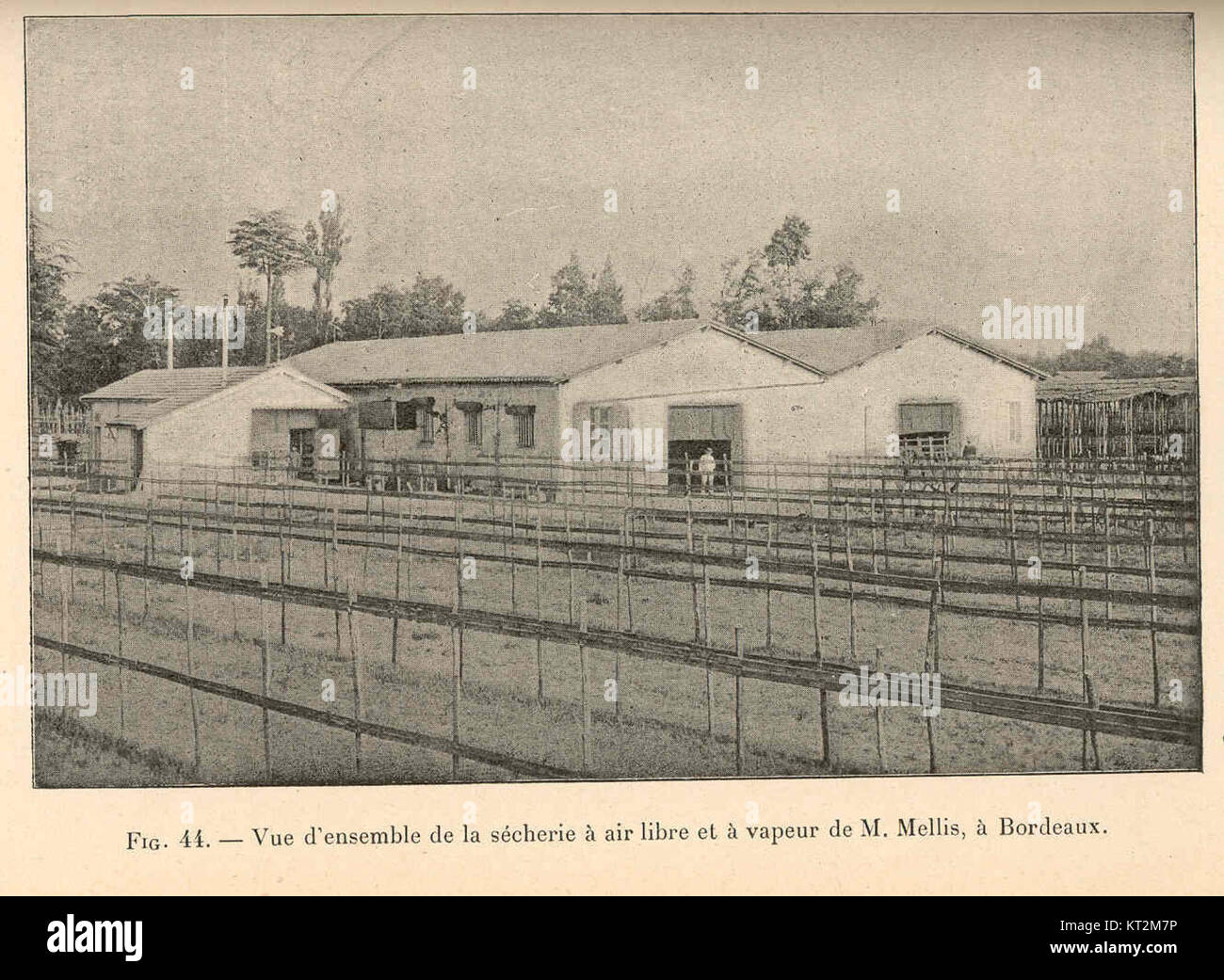 This photograph depicts the drying facilities of M. Mellis in Bordeaux ...