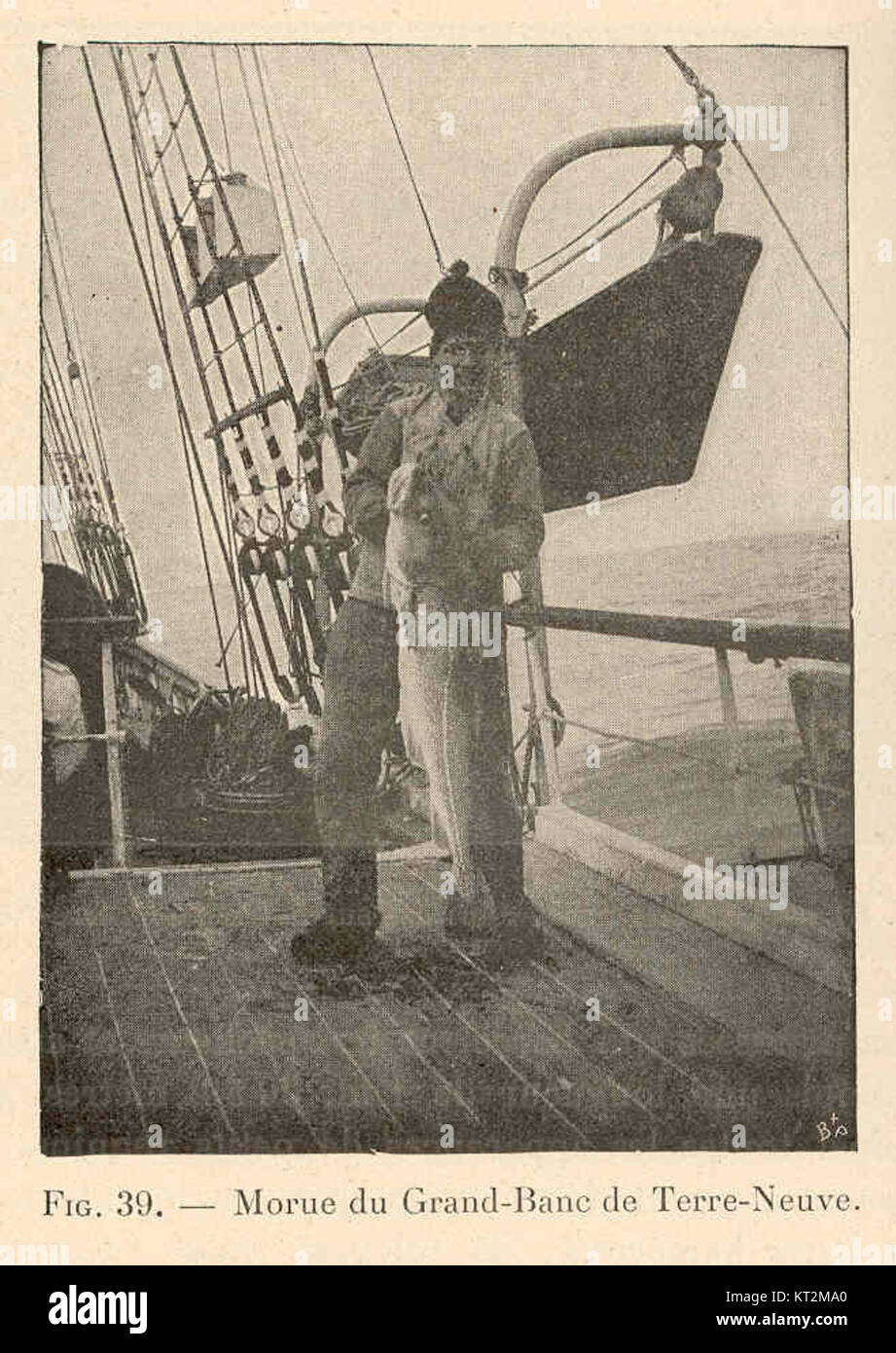 Fish newfoundland banks hi-res stock photography and images - Alamy