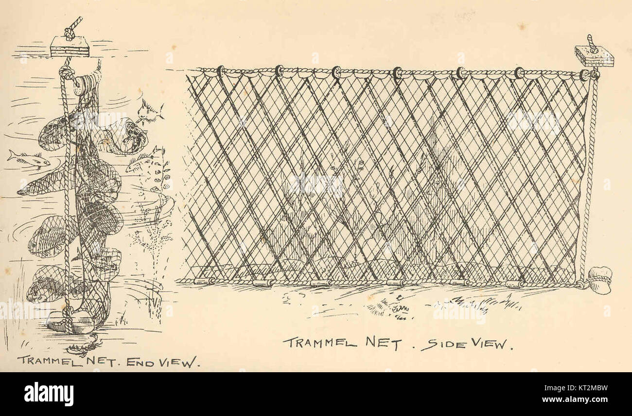 A trammel net is a type of fishing net designed to trap fish by using a ...
