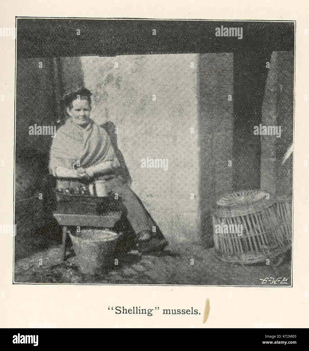 The image shows the process of shelling mussels, a culinary task ...