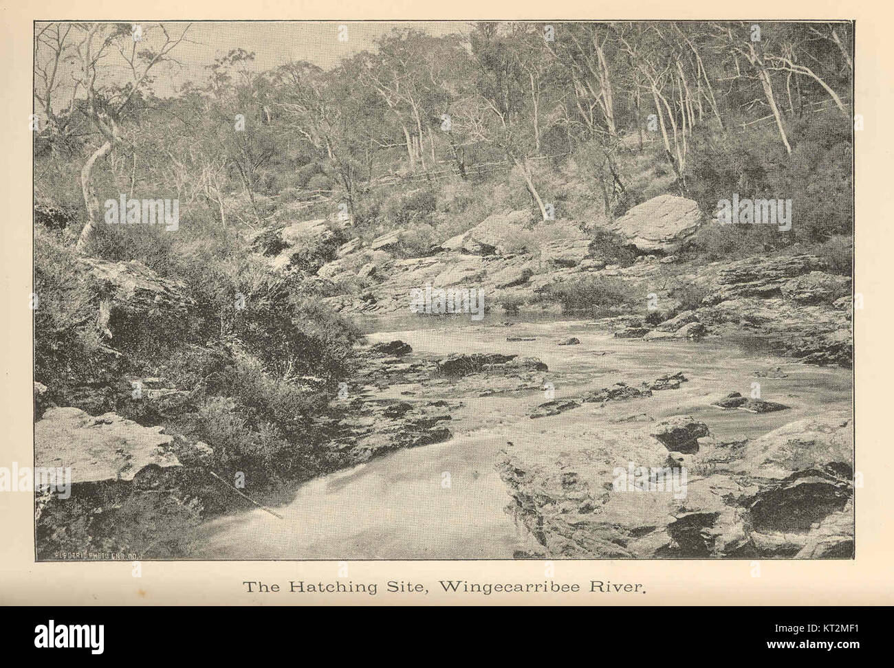 Wingecarribee hi-res stock photography and images - Alamy