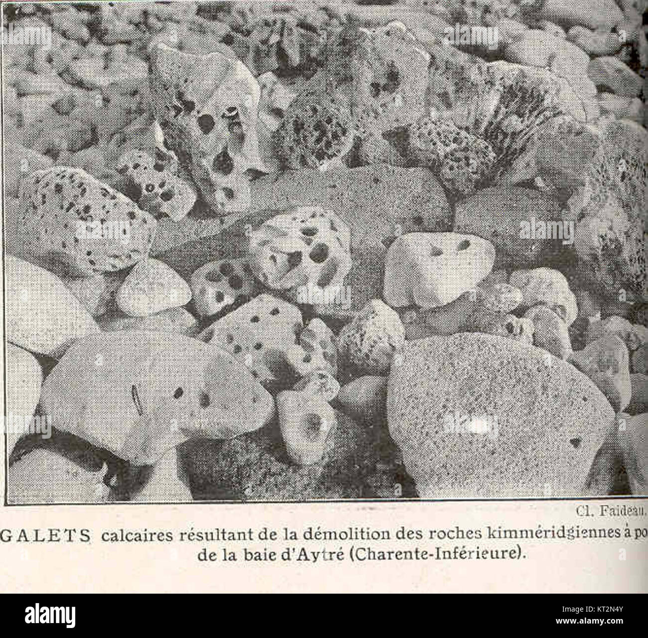 A geological image showing the calcareous pebbles resulting from the ...