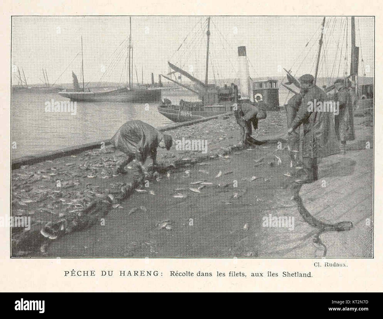 The image depicts herring fishing at the Shetland Islands, showcasing ...