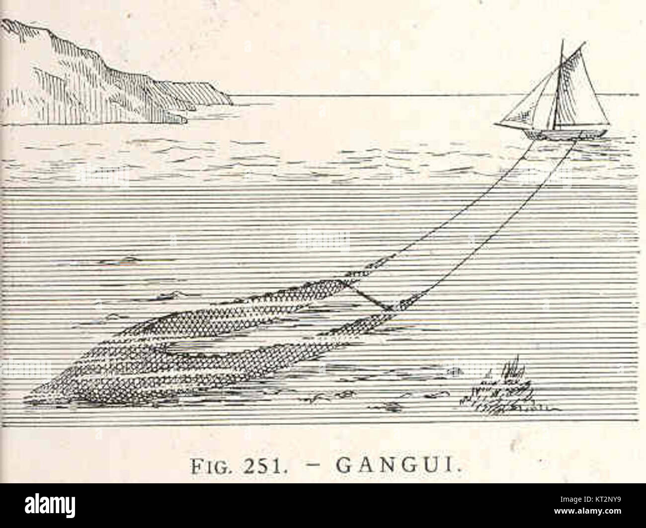 Gangui, known by the number 37336, is an important archaeological site ...