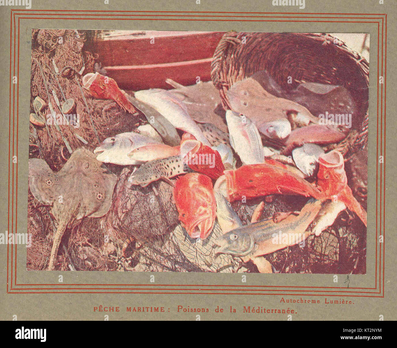 The document cataloged as *37326 Peche Maritime - Poissons de la ...