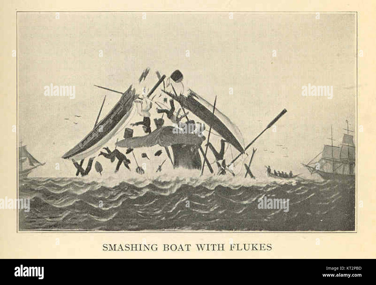 This image depicts a boat being smashed, with flukes visible, possibly ...